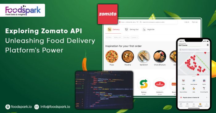 Zomato API - Unleashing Food Delivery Platform's Power