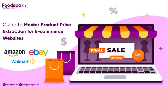 How to Extract Product Price from E-commerce Websites - A Useful Guide