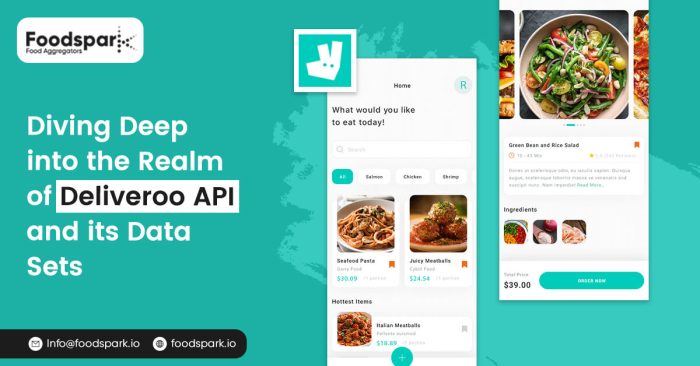 Diving Deep of Deliveroo API and its Datasets